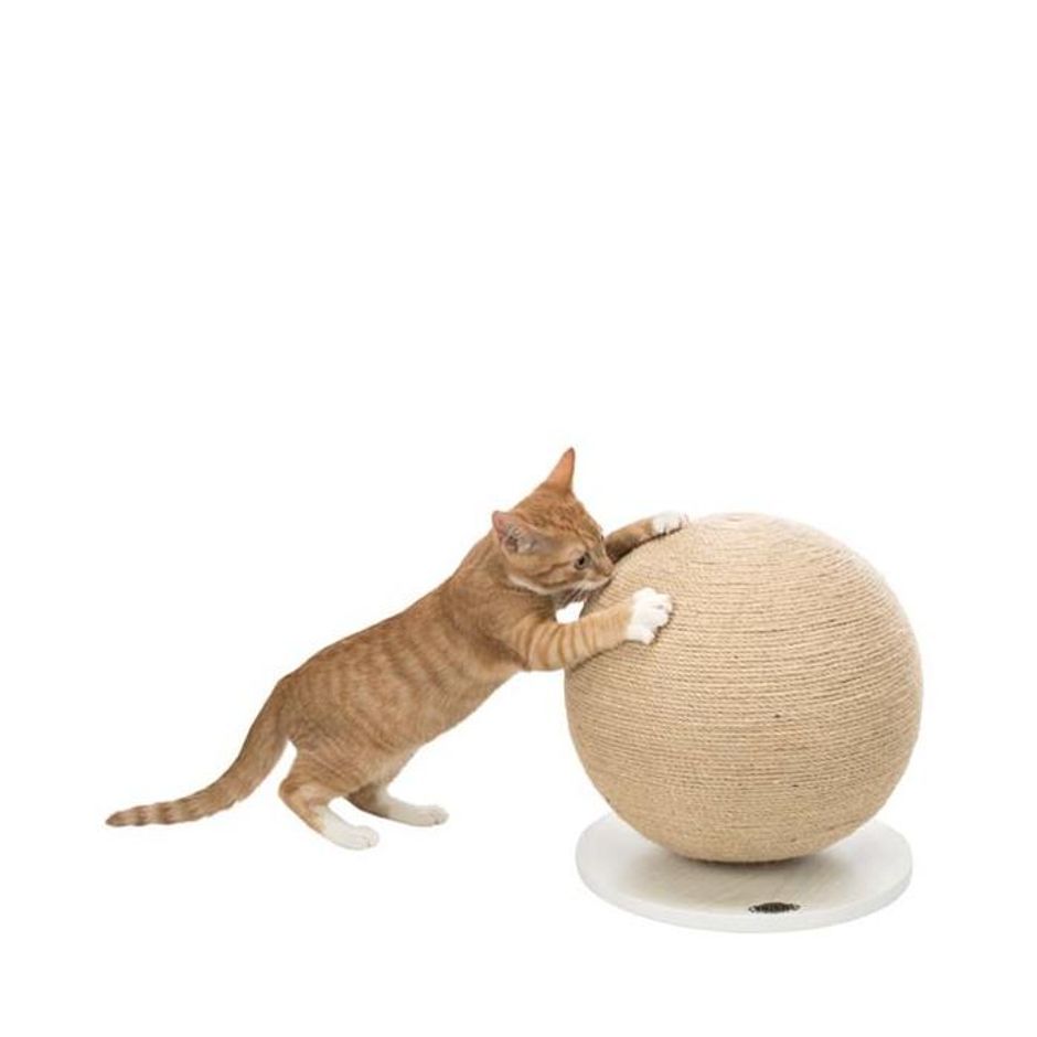 Buy Jute Scratching Ball for your dog or cat | Tinybuddy