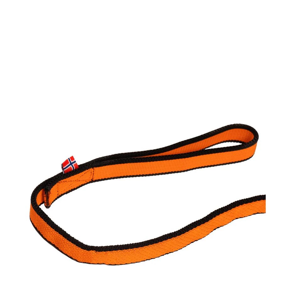 Buy Bungee Leash Orange for your dog | Tinybuddy