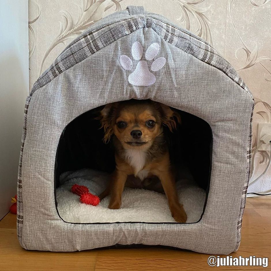 igloo dog house small
