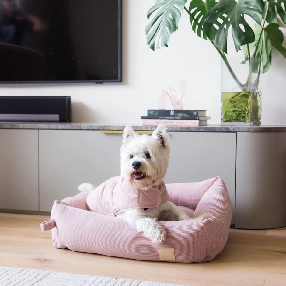 Buy Quilted Vest Soft Blush for your dog | Tinybuddy
