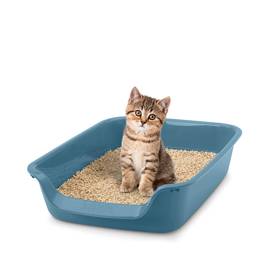 Buy Savic Junior Litter Box for your dog or cat | Tinybuddy