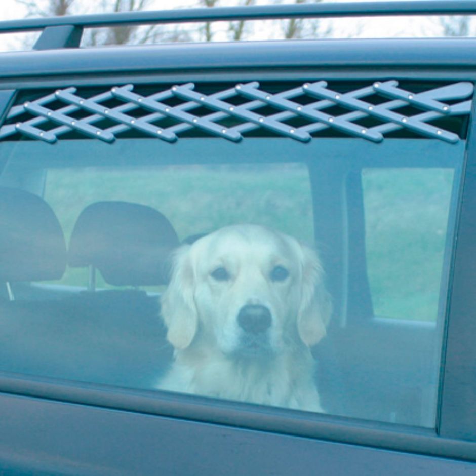 Car window net for dogs store