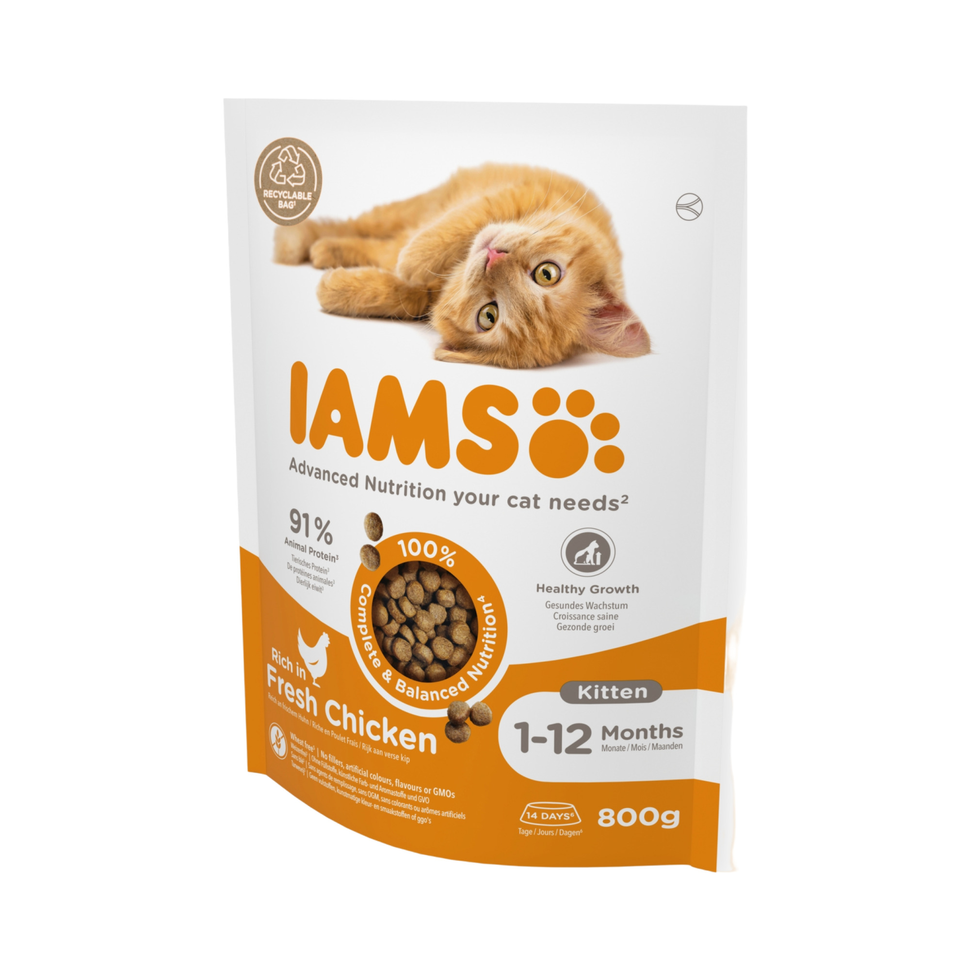 Buy IAMS Kitten for your dog or cat | Tinybuddy