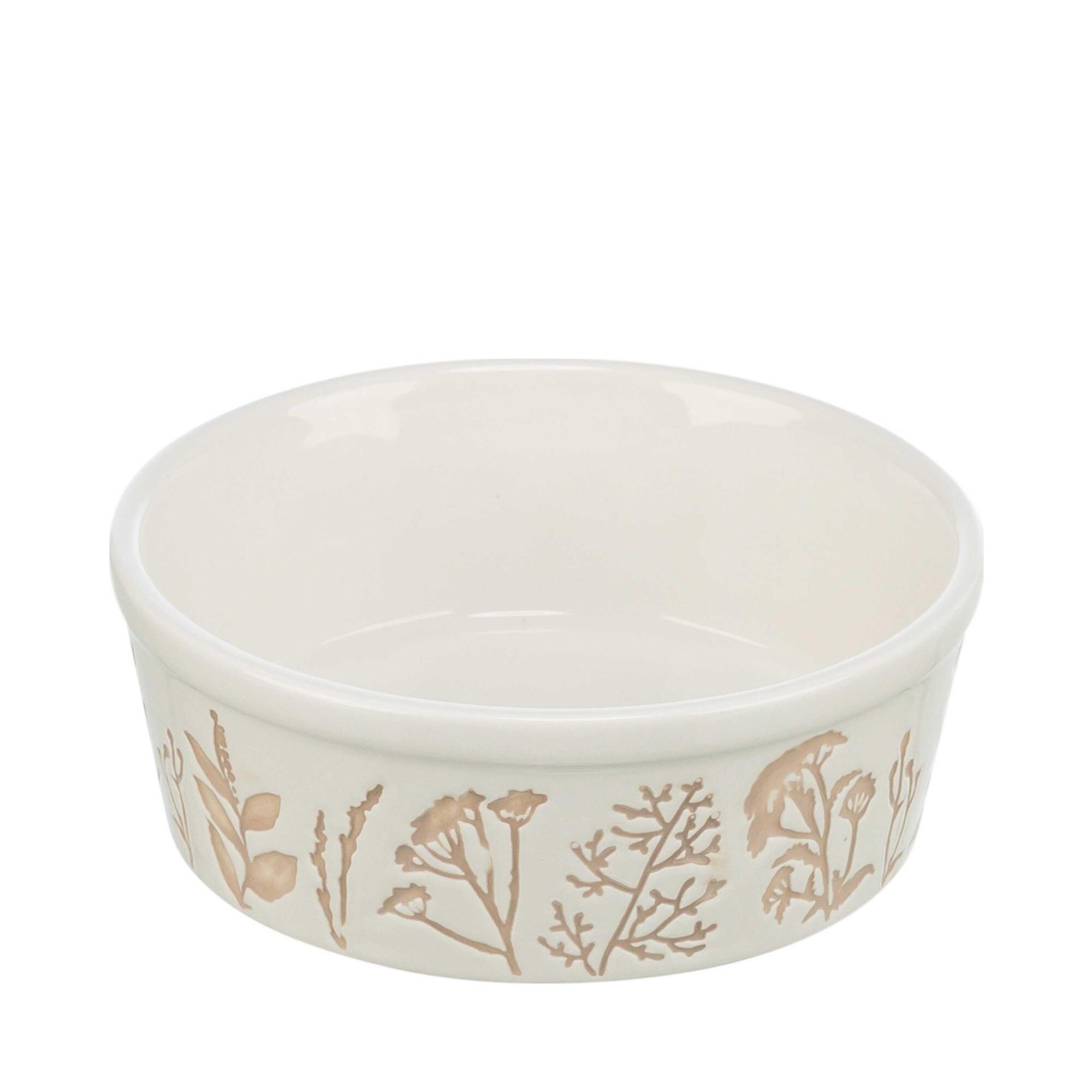 Buy Wheat Ceramic Bowl for your dog | Tinybuddy