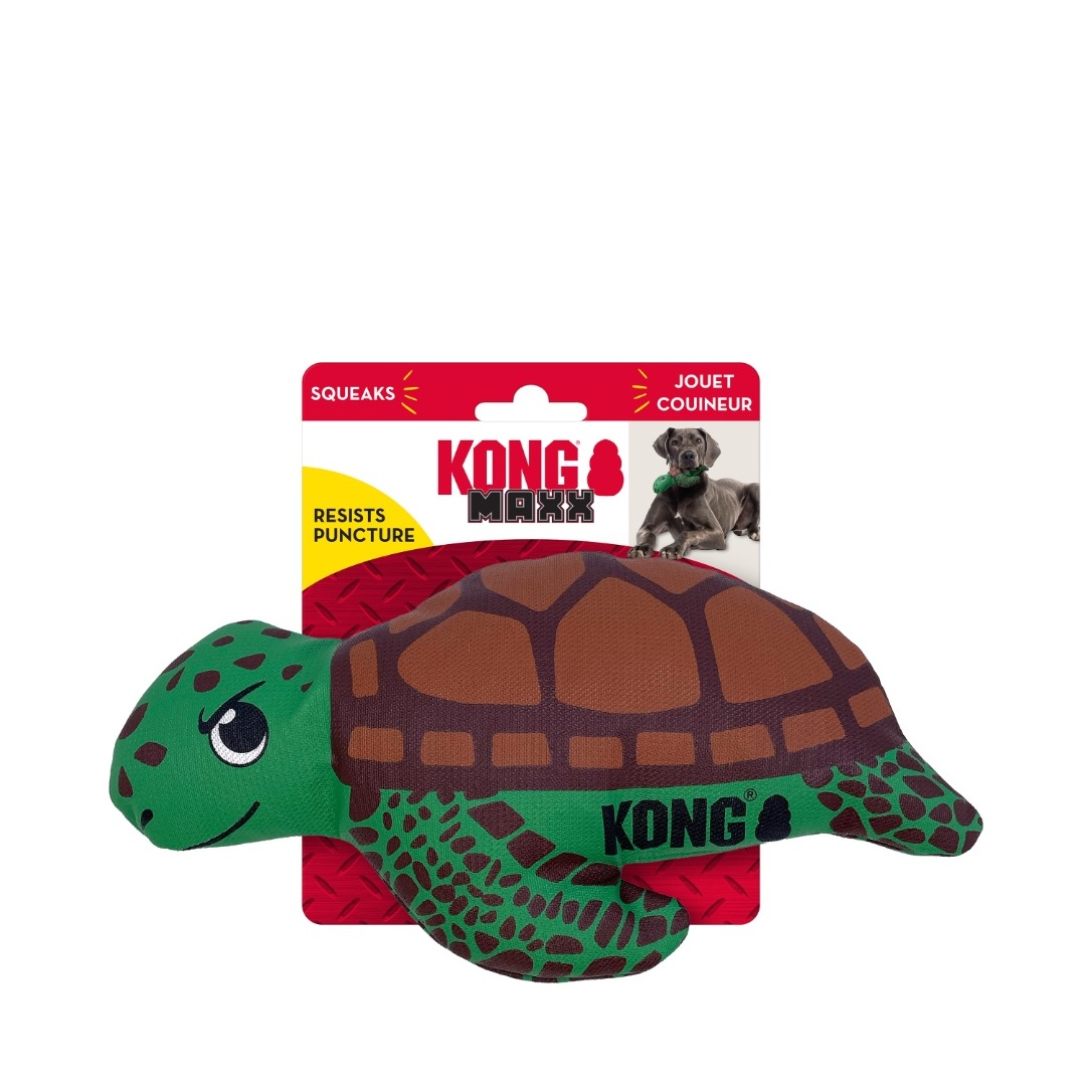 Buy KONG Maxx Turtle for your dog | Tinybuddy