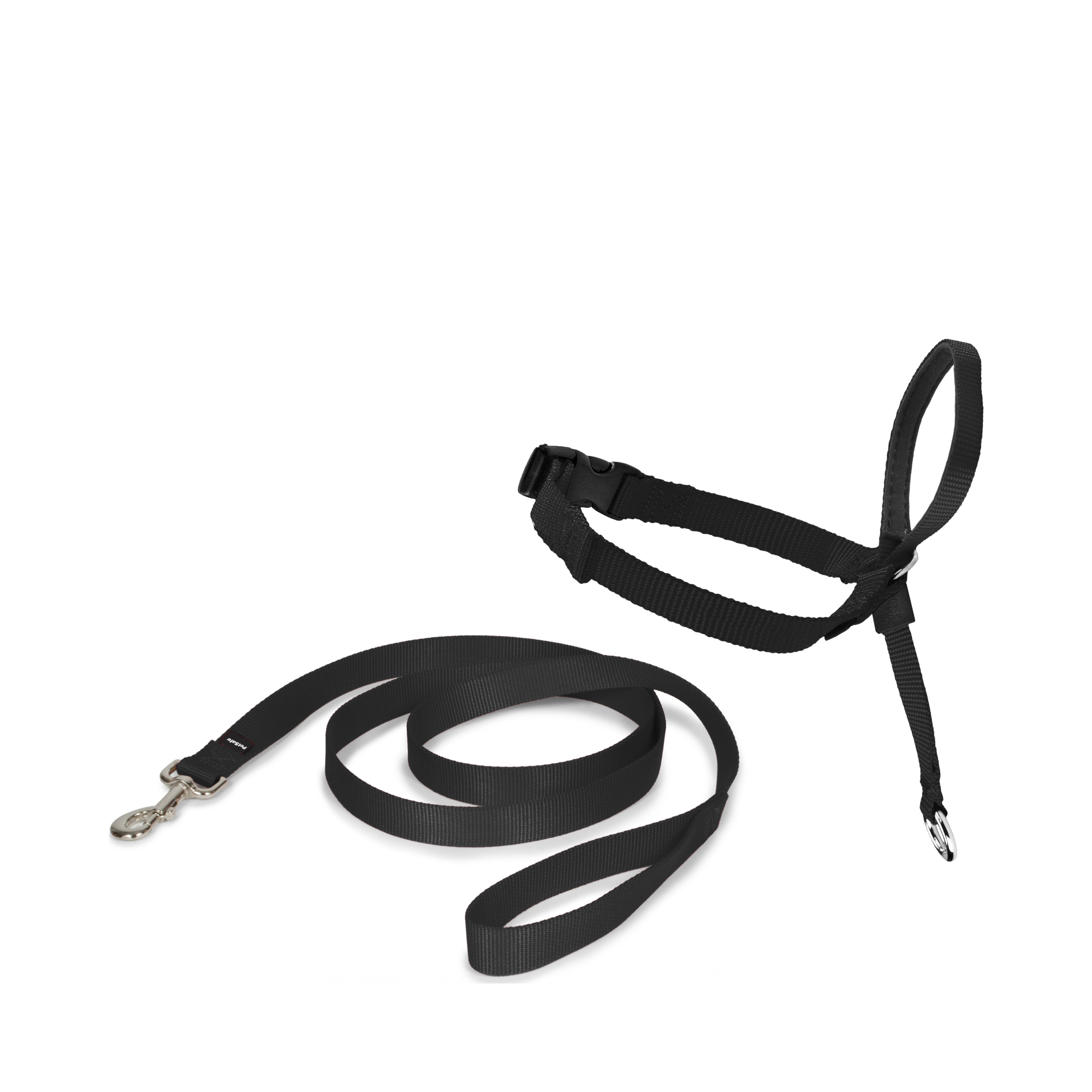 Buy PetSafe Easy Walk Headcollar for your dog | Tinybuddy
