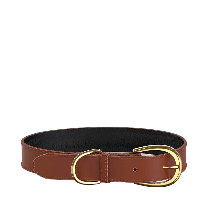 Buy Swaggin Tails Collar for your dog | Tinybuddy