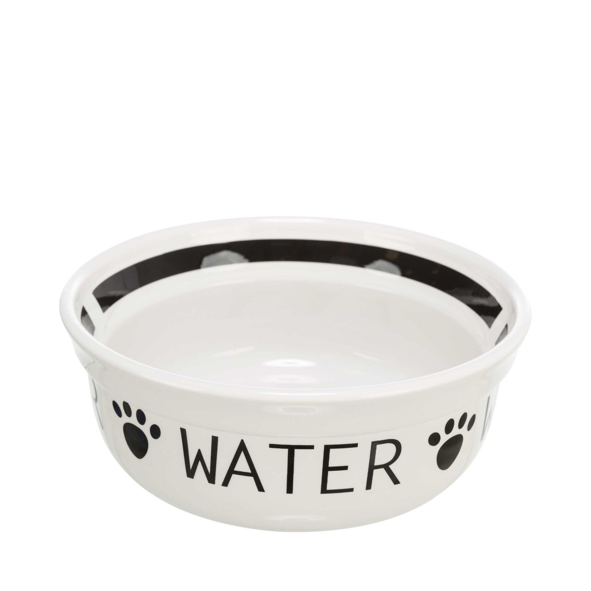 Buy WATER Ceramic Bowl for your dog | Tinybuddy